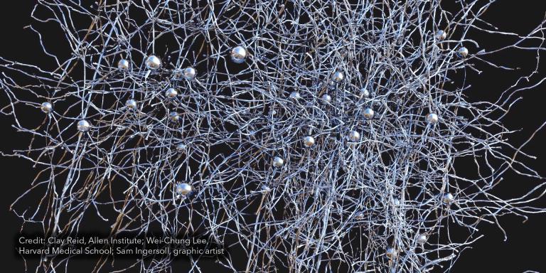 Reverse Engineering the Human Brain | AFCEA International