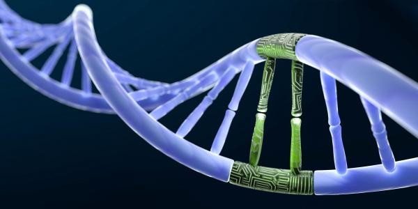 Scientists Race Toward Dna Based Data Storage Afcea International